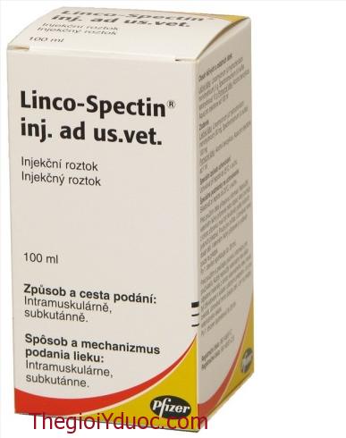 Thuốc Tiêm LINCO-SPECTIN